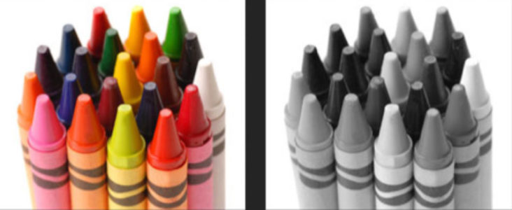 Achromatopsia | Fighting Blindness Canada (FBC)