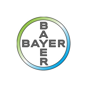 How the Eye Works | Fighting Blindness Canada