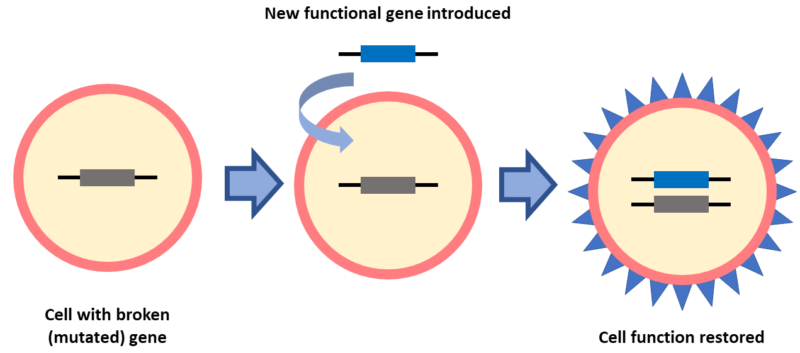 Gene Therapy & Clinical Trials to Treat Vision Loss | Fighting ...