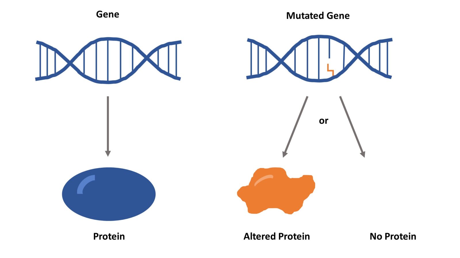 Genetic Testing For Inherited Retinal Diseases Fighting Blindness