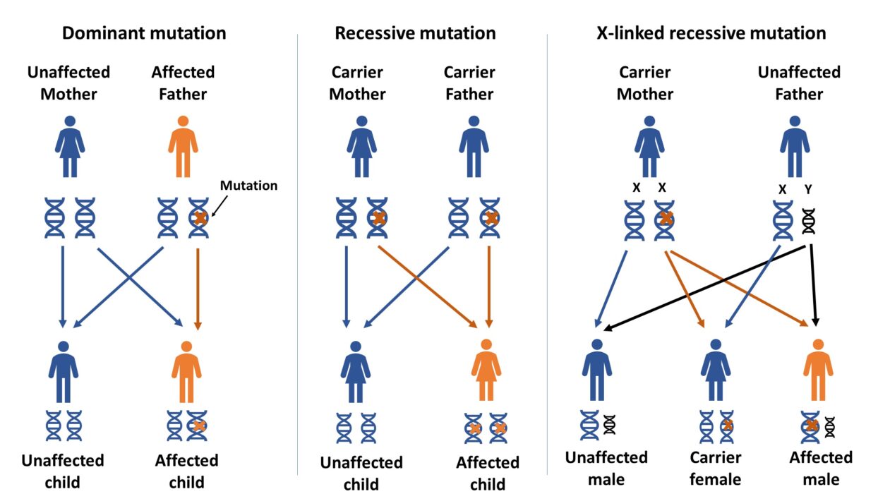 Genetic Testing for Inherited Retinal Diseases - Fighting Blindness ...