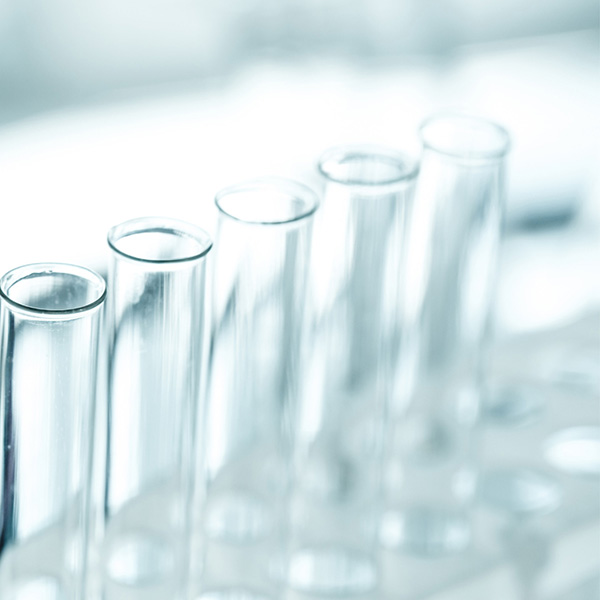 Home | Fighting Blindness Canada